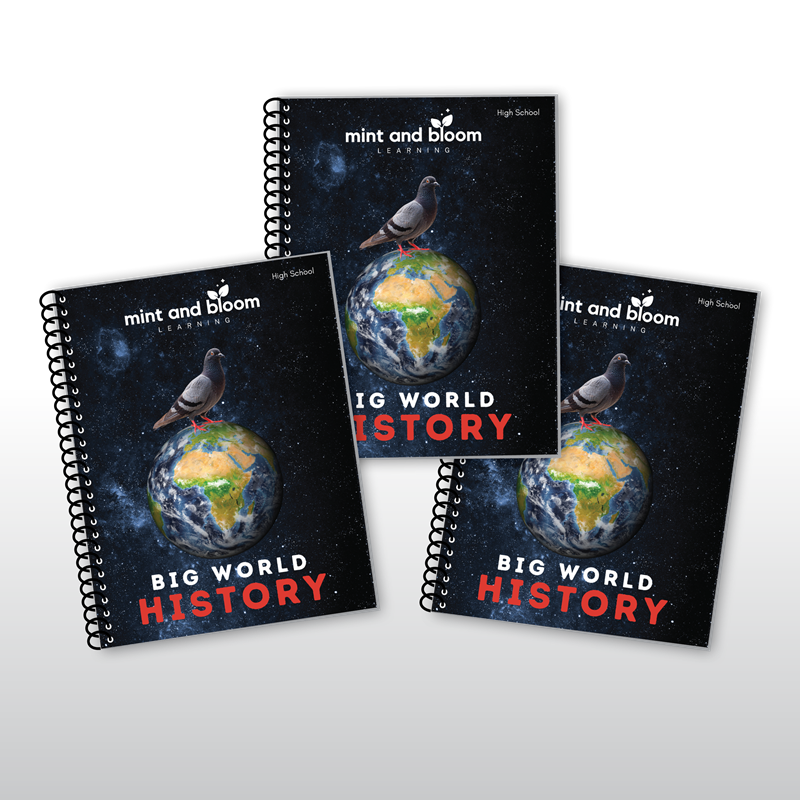 Big World History: High School Bundle