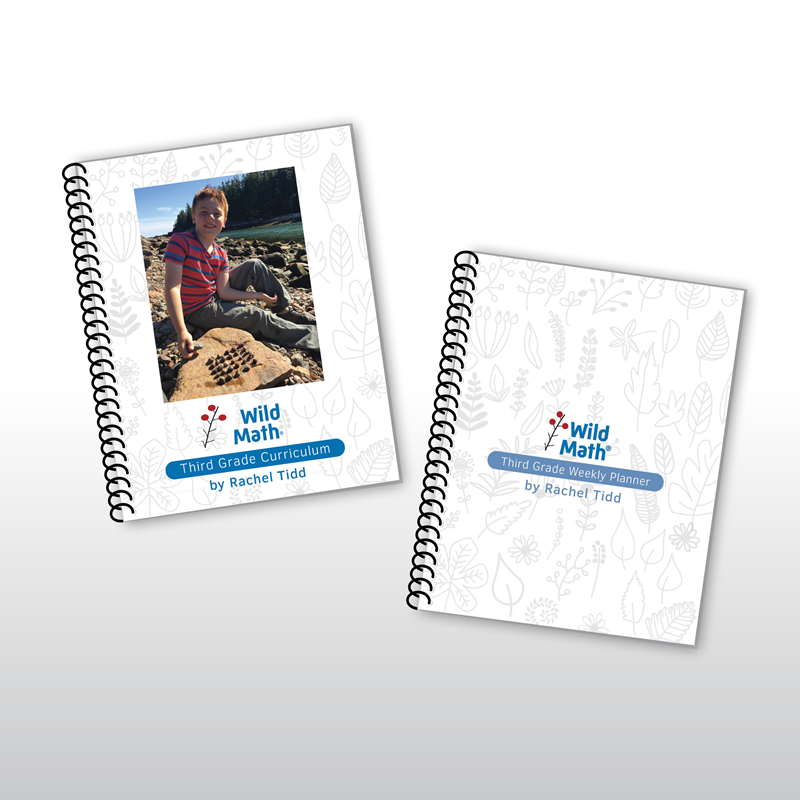 Wild Math Third Grade Bundle